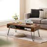 17 Stories Neta Walnut Coffee Table with Storage | Wayfair